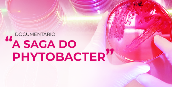 A Saga do Phytobacter
