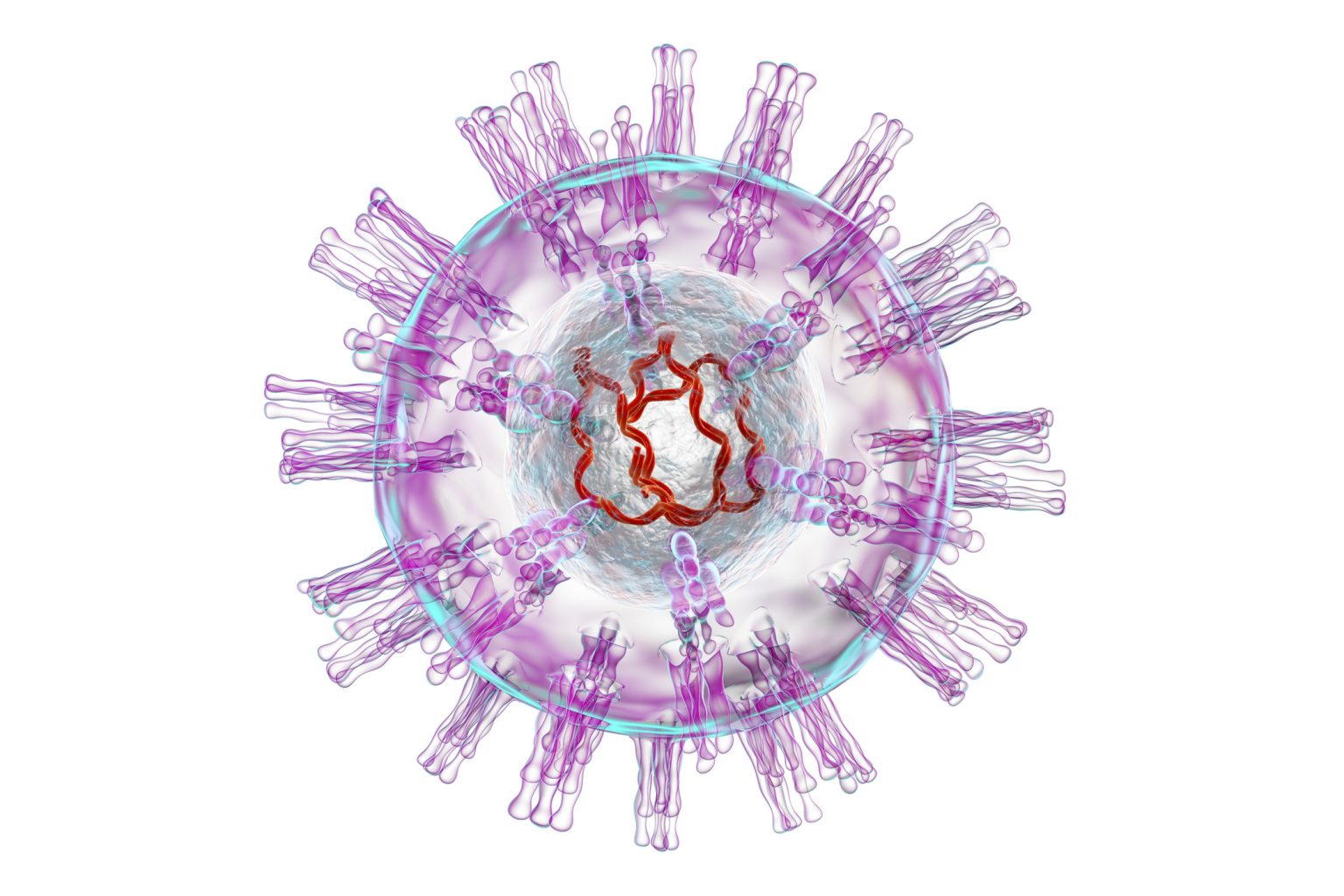 Herpes Virus - Molecular Biology – Controllab