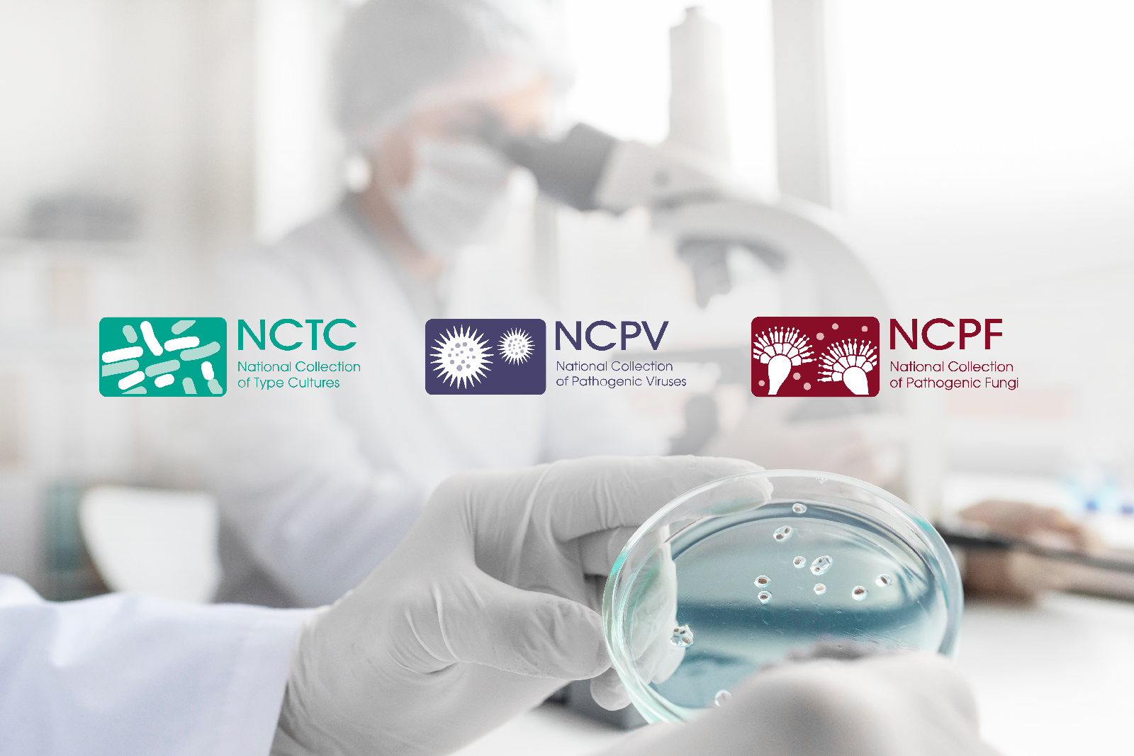 Instruciones de uso MRC y Cepas de Referencia – Controllab