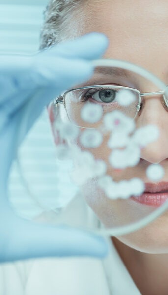 Cepas Controle - Controllab