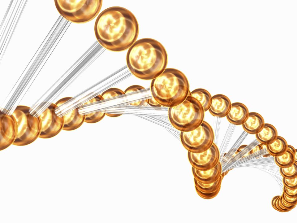 Prothrombin - Mutation Screening – Controllab